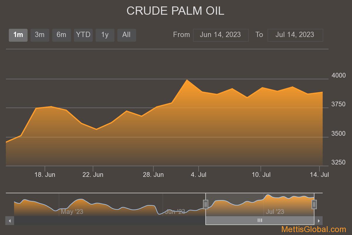 Malaysian palm oil rises on July export surge